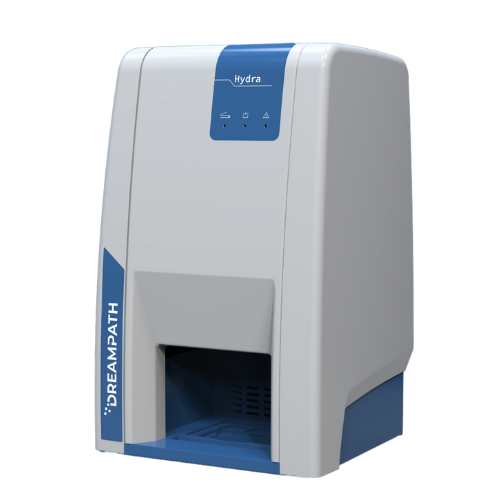 Hydra - Axlab : Axlab.